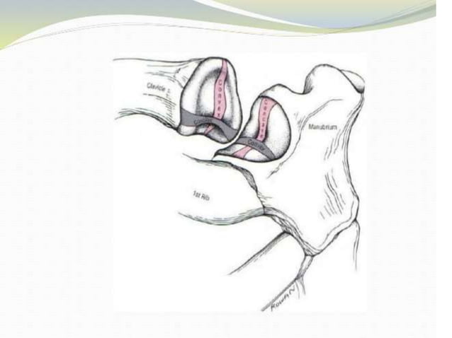 Anatomy and Biomechanics of shoulder complex | PPT