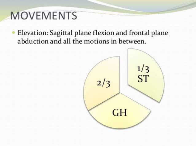 Anatomy and Biomechanics of shoulder complex | PPT