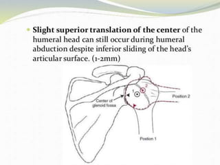 Anatomy and Biomechanics of shoulder complex | PPTX