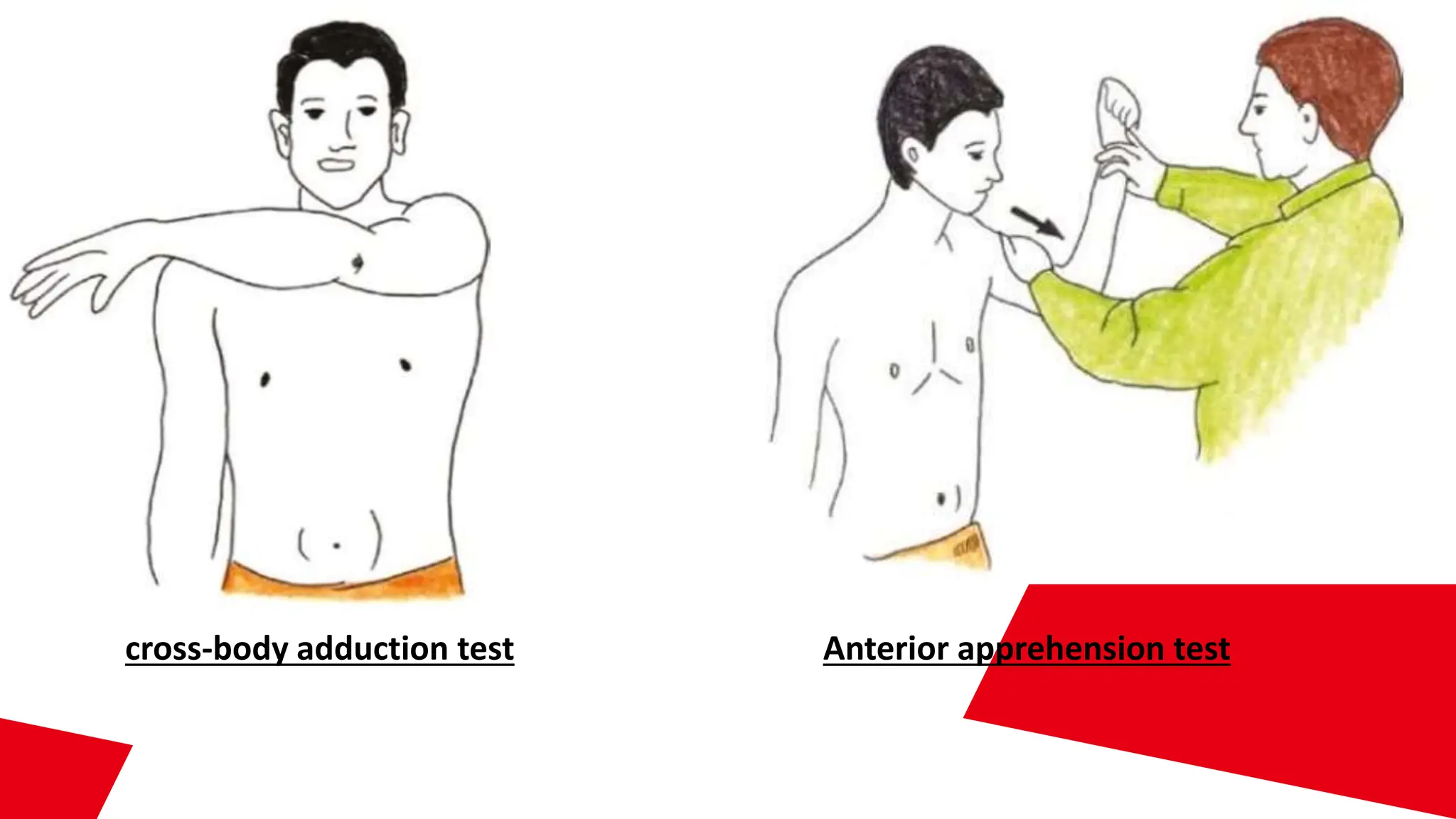 All about shoulder Joint .. | PPTX