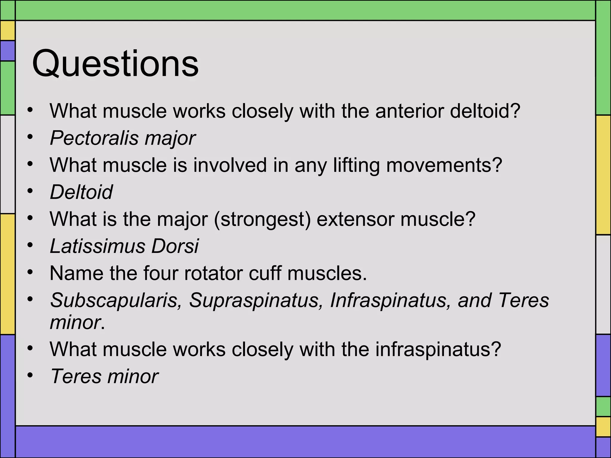 Shoulder anatomy | PPT