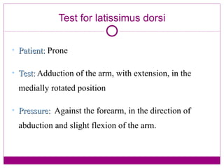 Shoulder & Arm 2 | PPT