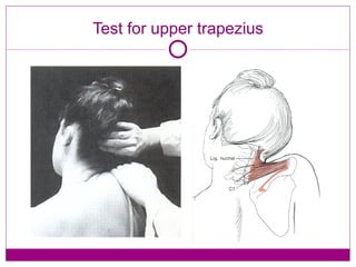 Shoulder & Arm 2 | PPT