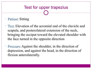 Shoulder & Arm 2 | PPT