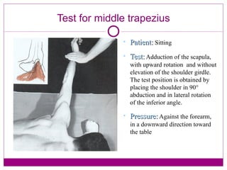 Shoulder & Arm 2 | PPT