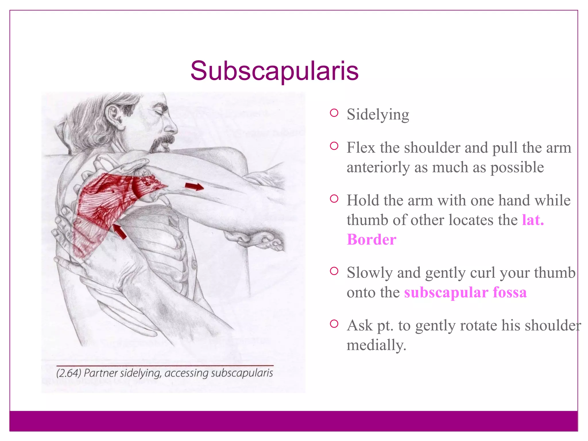 Shoulder & Arm 3 | PPT