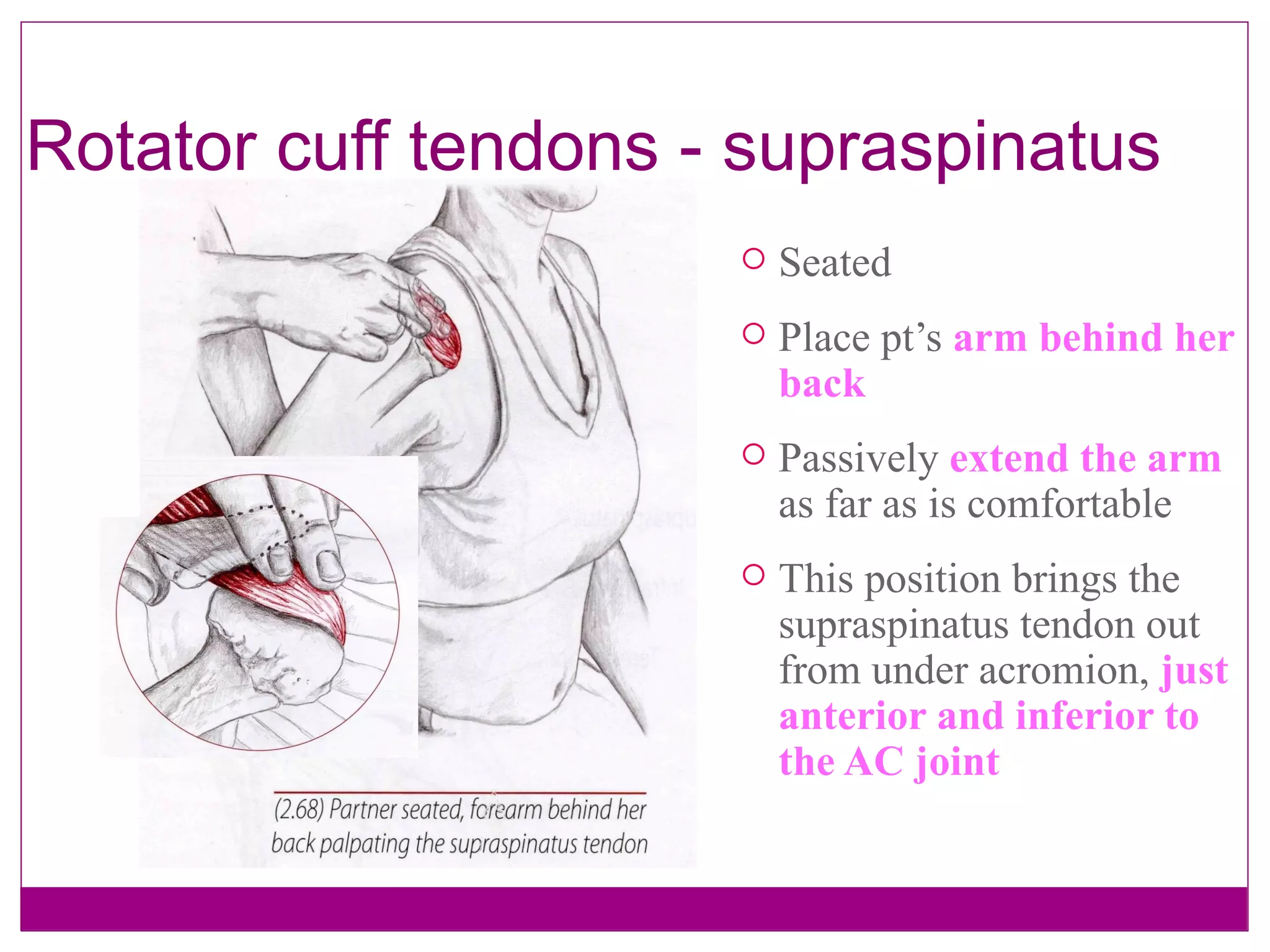Shoulder & Arm 3 | PPT