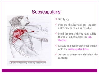 Shoulder & Arm 3 | PPT