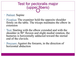 Shoulder & Arm 5 | PPT