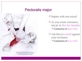 Shoulder & Arm 5 | PPT