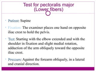 Shoulder & Arm 5 | PPT