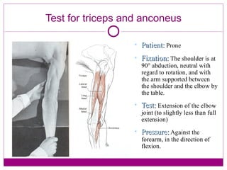 Shoulder & Arm 6 | PPT