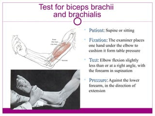 Shoulder & Arm 6 | PPT