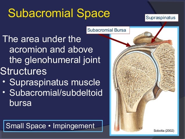 The Painful Adult Shoulder: evidence based history, exam and approach