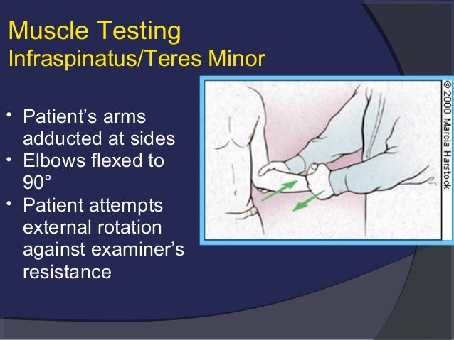 The Painful Adult Shoulder: evidence based history, exam and approach