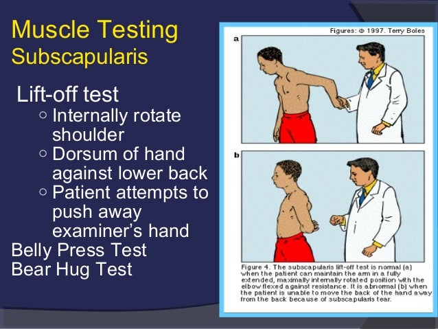 The Painful Adult Shoulder: evidence based history, exam and approach