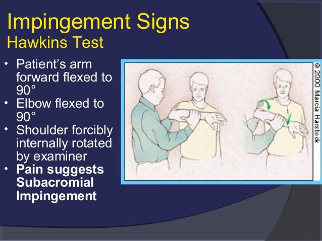 The Painful Adult Shoulder: evidence based history, exam and approach