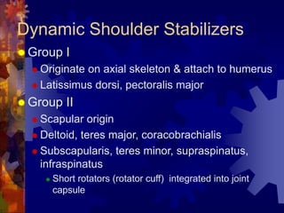 Shoulder rehab | PPT