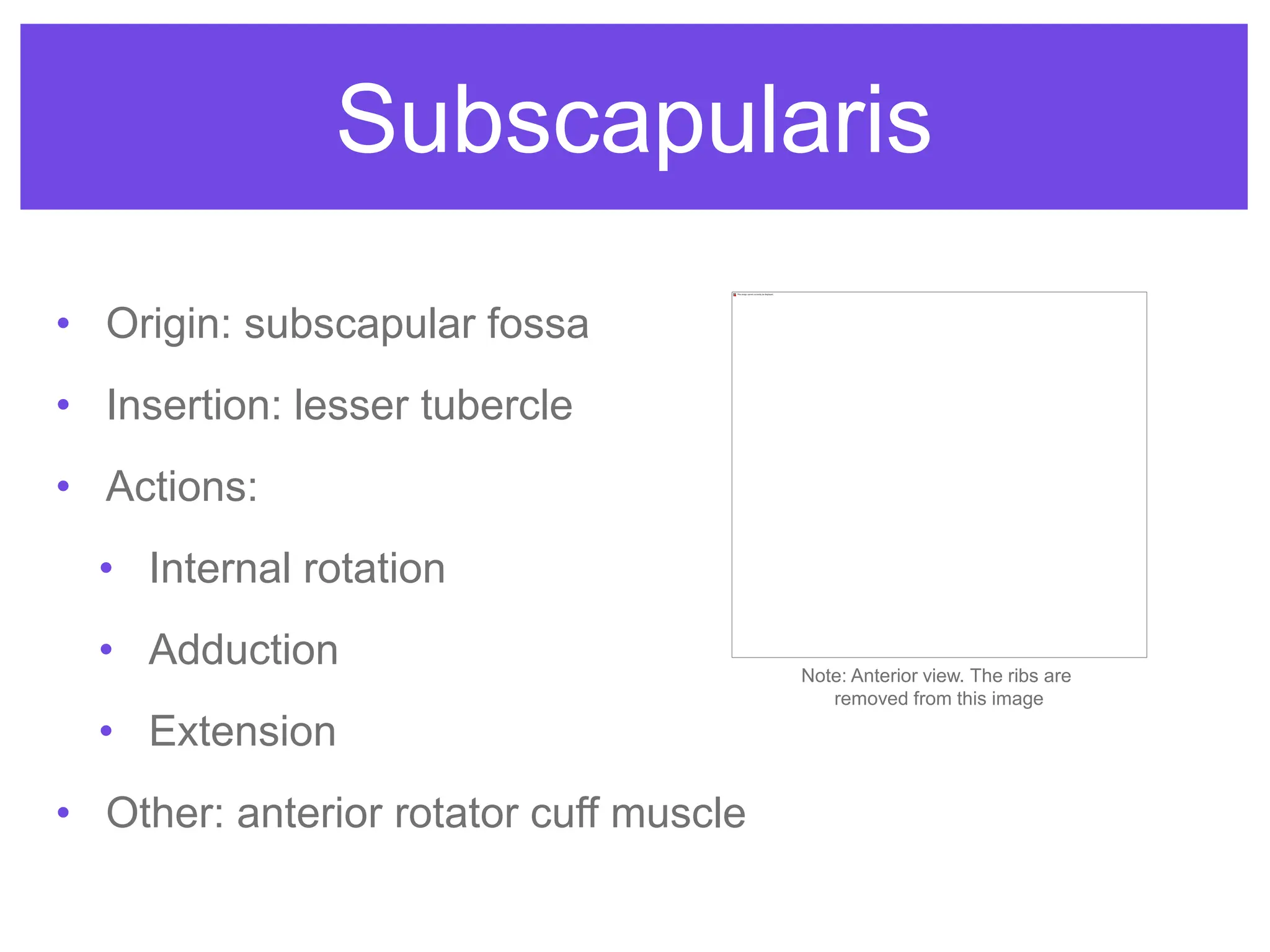 Shoulder-muscles.ppt
