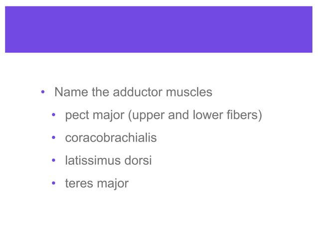 Shoulder-muscles.ppt | Death, Injury, or Military Conflict | Sensitive ...