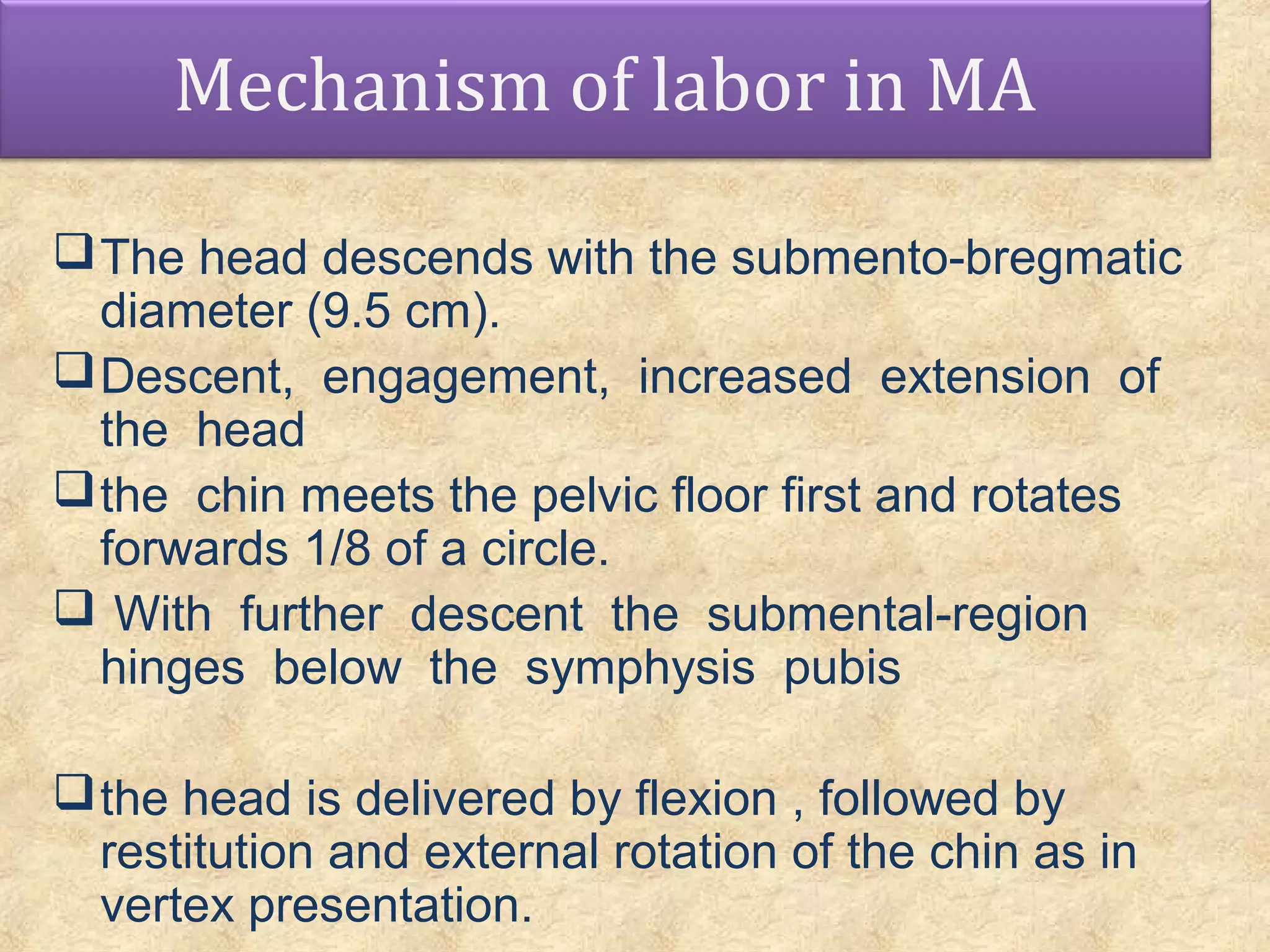 Shoulder presentation | PPT