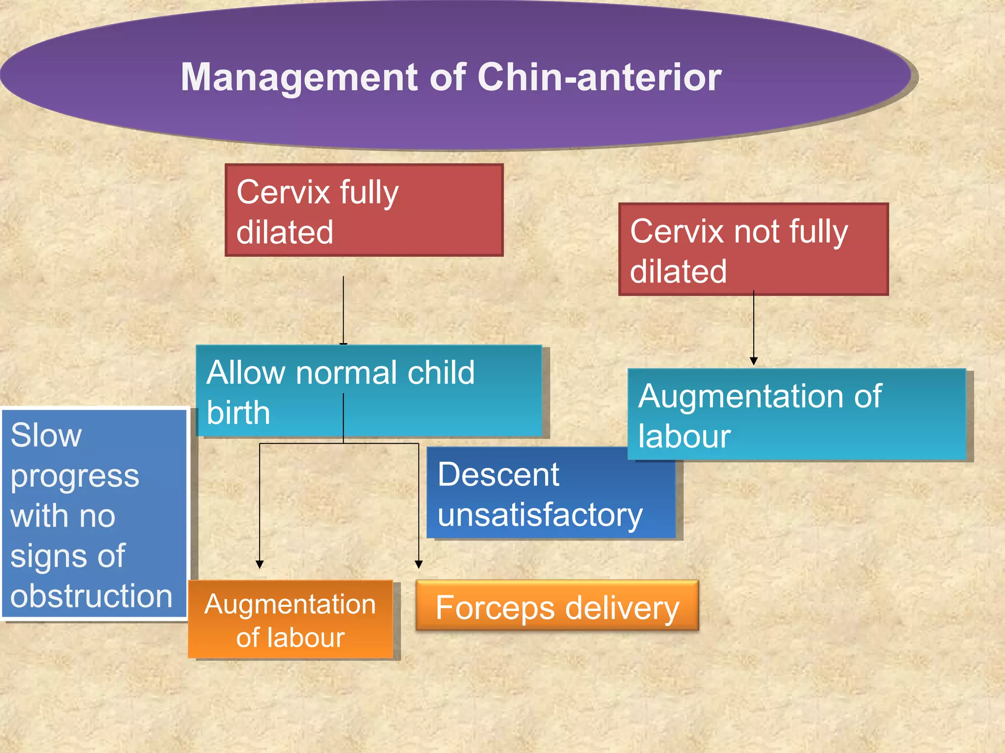 Shoulder presentation | PPT