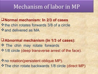 Shoulder presentation | PPT