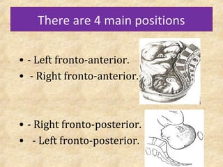 Shoulder presentation | PPT