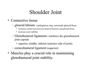 Shoulder joint ppt for mbbs students very helpful | PPT