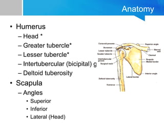 SHOULDER 2222.pptx