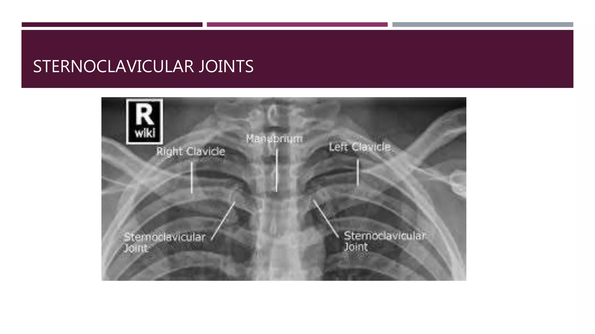 SHOULDER POSITIONING - ANAND GURMAITA ( BSc. RADIOLOGY ) | PPTX