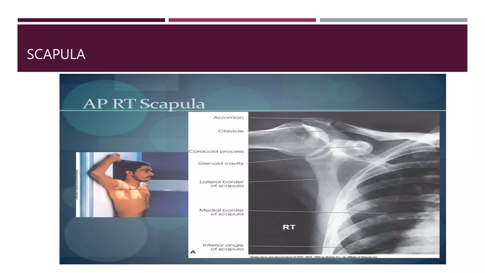 SHOULDER POSITIONING - ANAND GURMAITA ( BSc. RADIOLOGY ) | PPTX