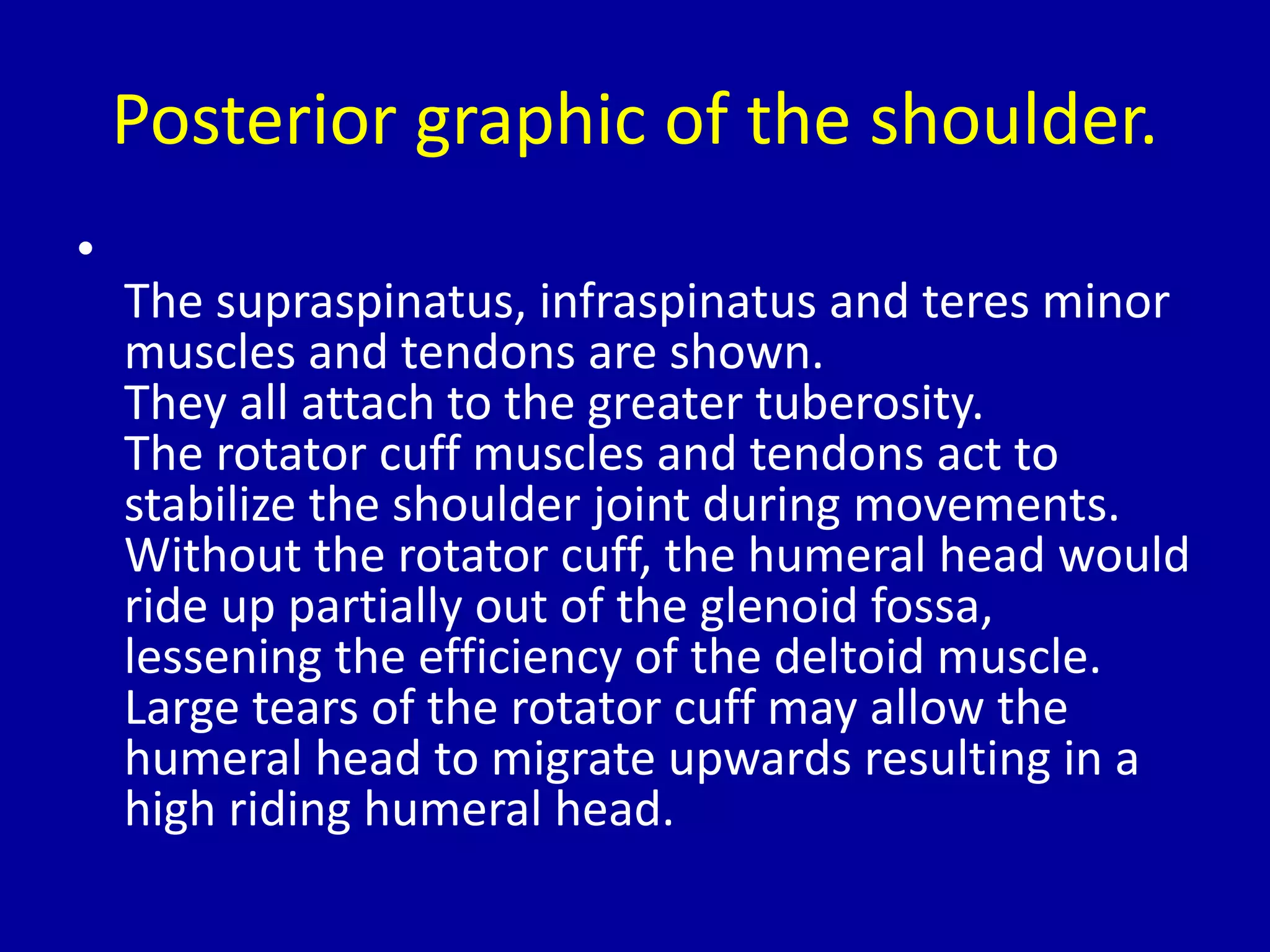 MRI of Shoulder anatomy | PPTX