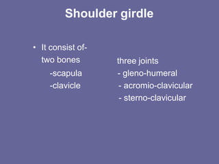 shoulderanatomy-160501022628.pptx