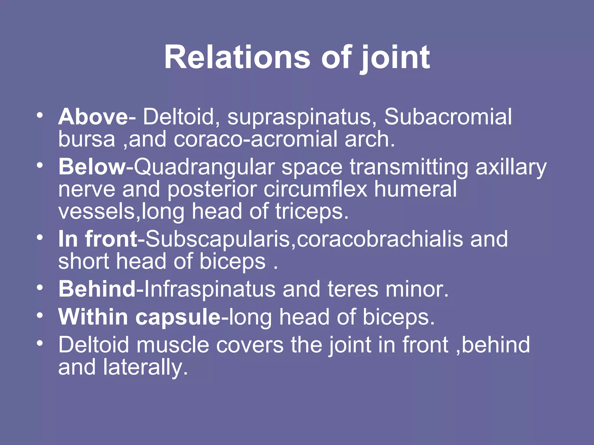 Shoulder anatomy | PPT