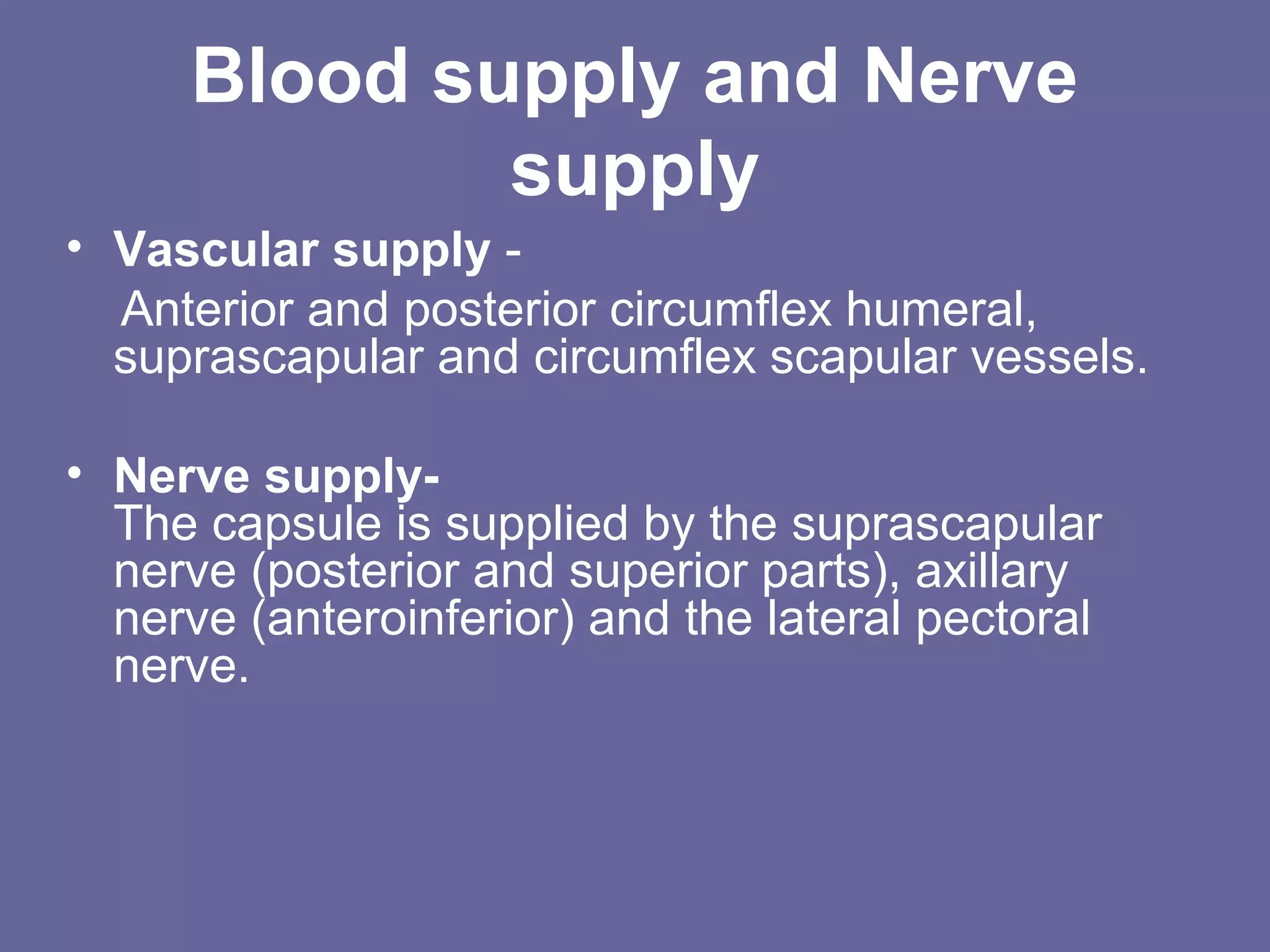 Shoulder anatomy | PPT