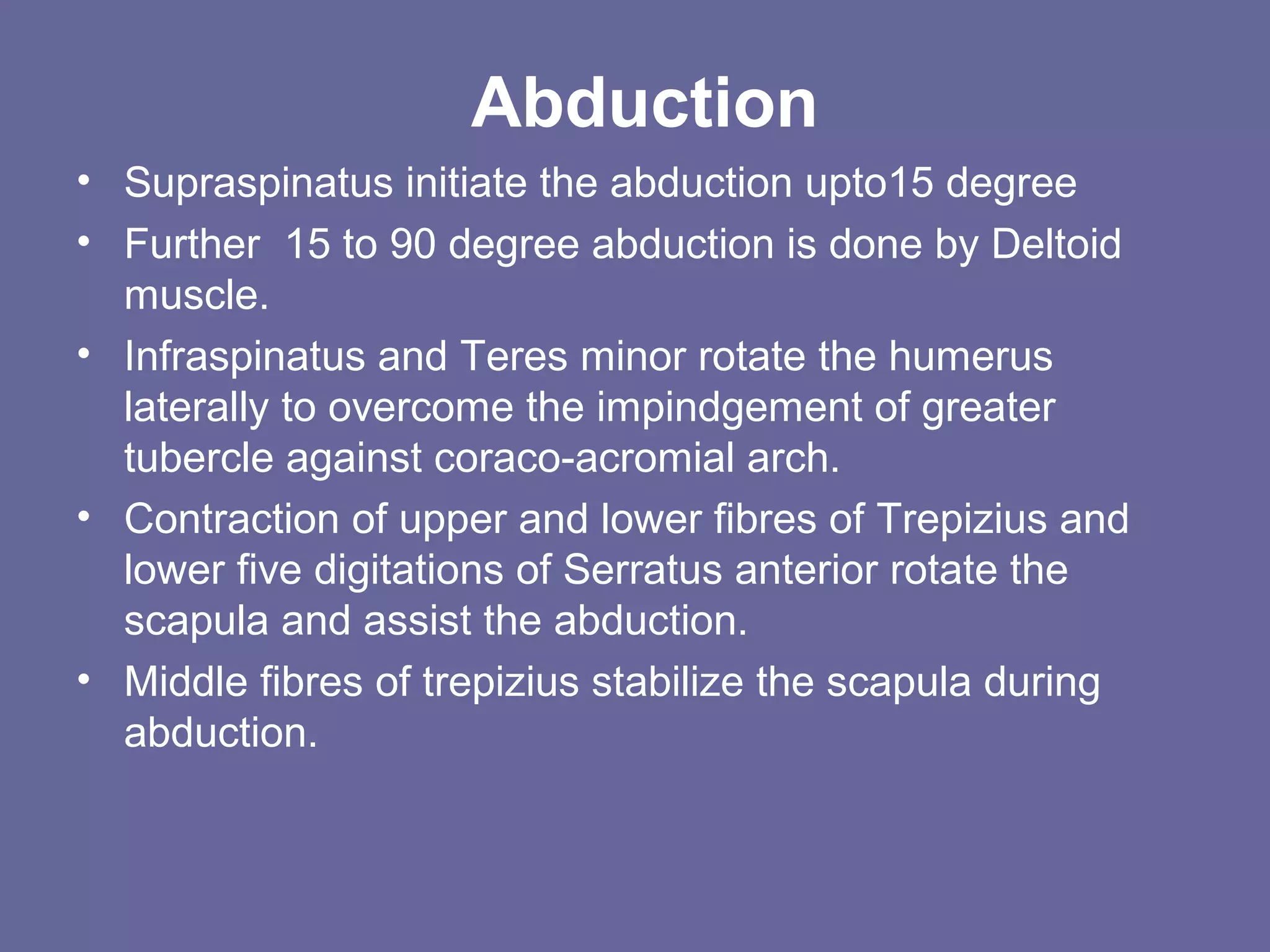 Shoulder anatomy | PPT