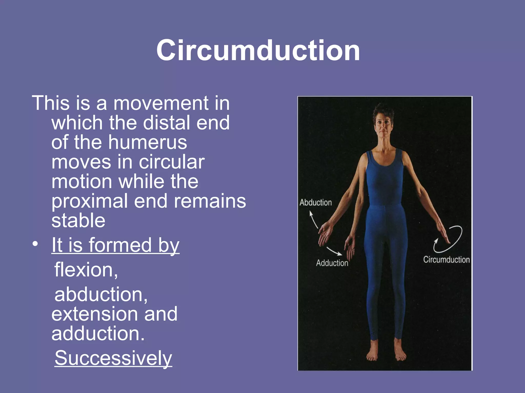 Shoulder anatomy | PPT