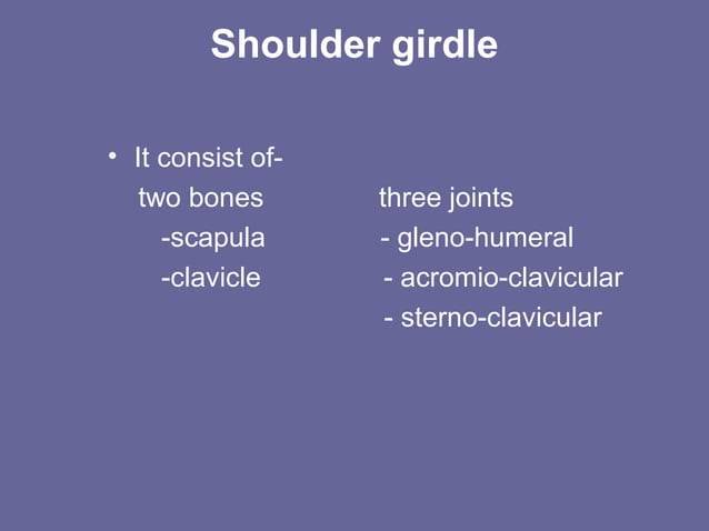 Shoulder anatomy | PPT