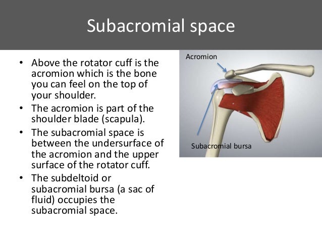 Subacromial Space