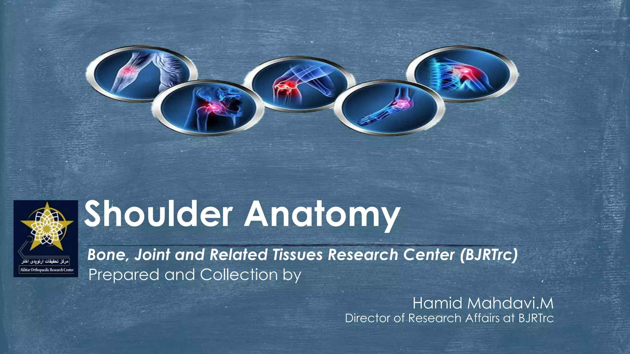 Shoulder anatomy | PDF