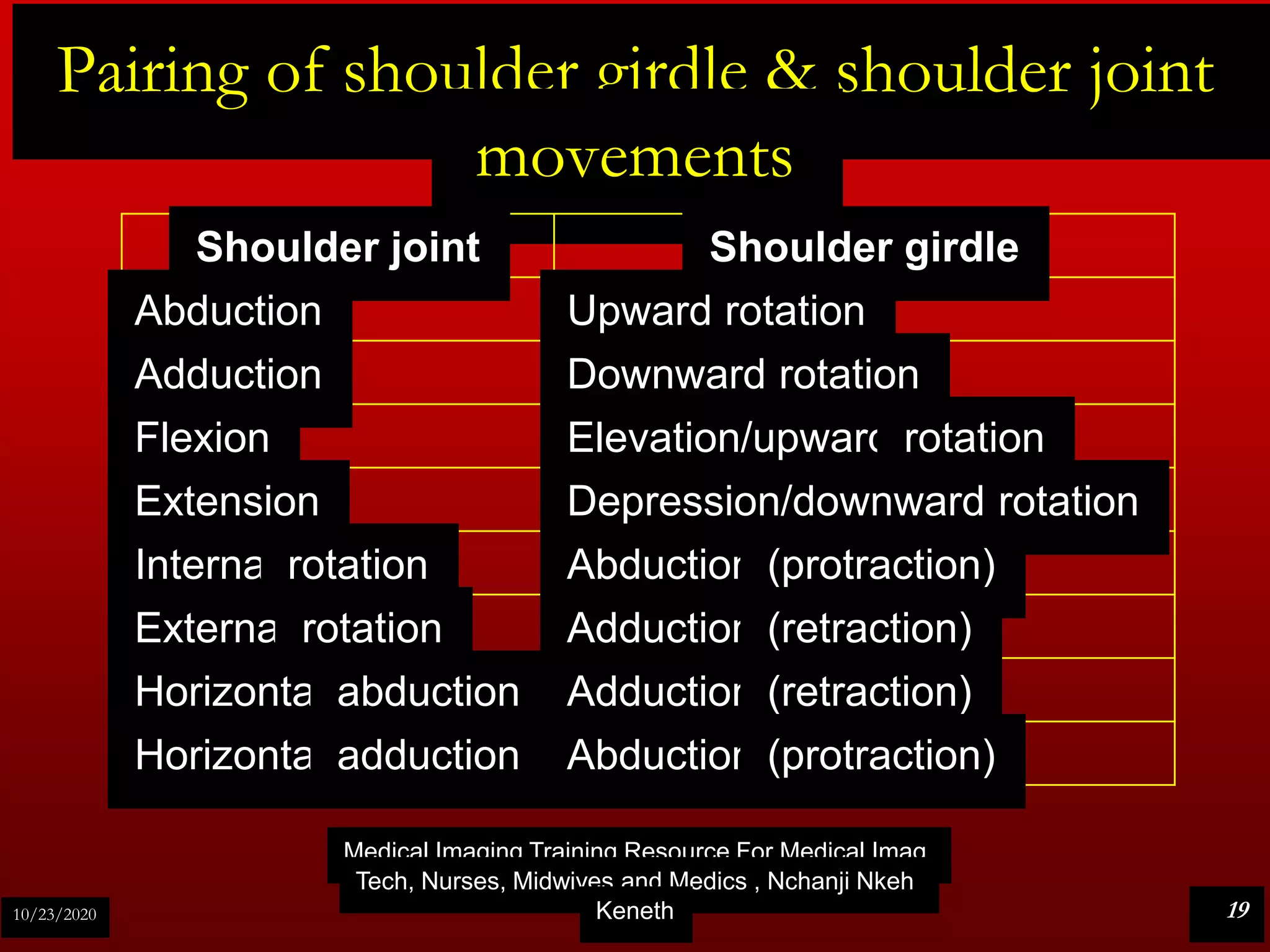Shoulder anatomy . radiology training resource nchanaji nkeh keneth | PDF