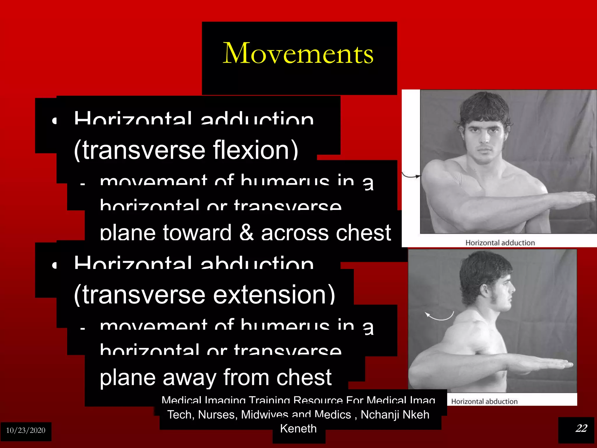 Shoulder anatomy . radiology training resource nchanaji nkeh keneth | PDF