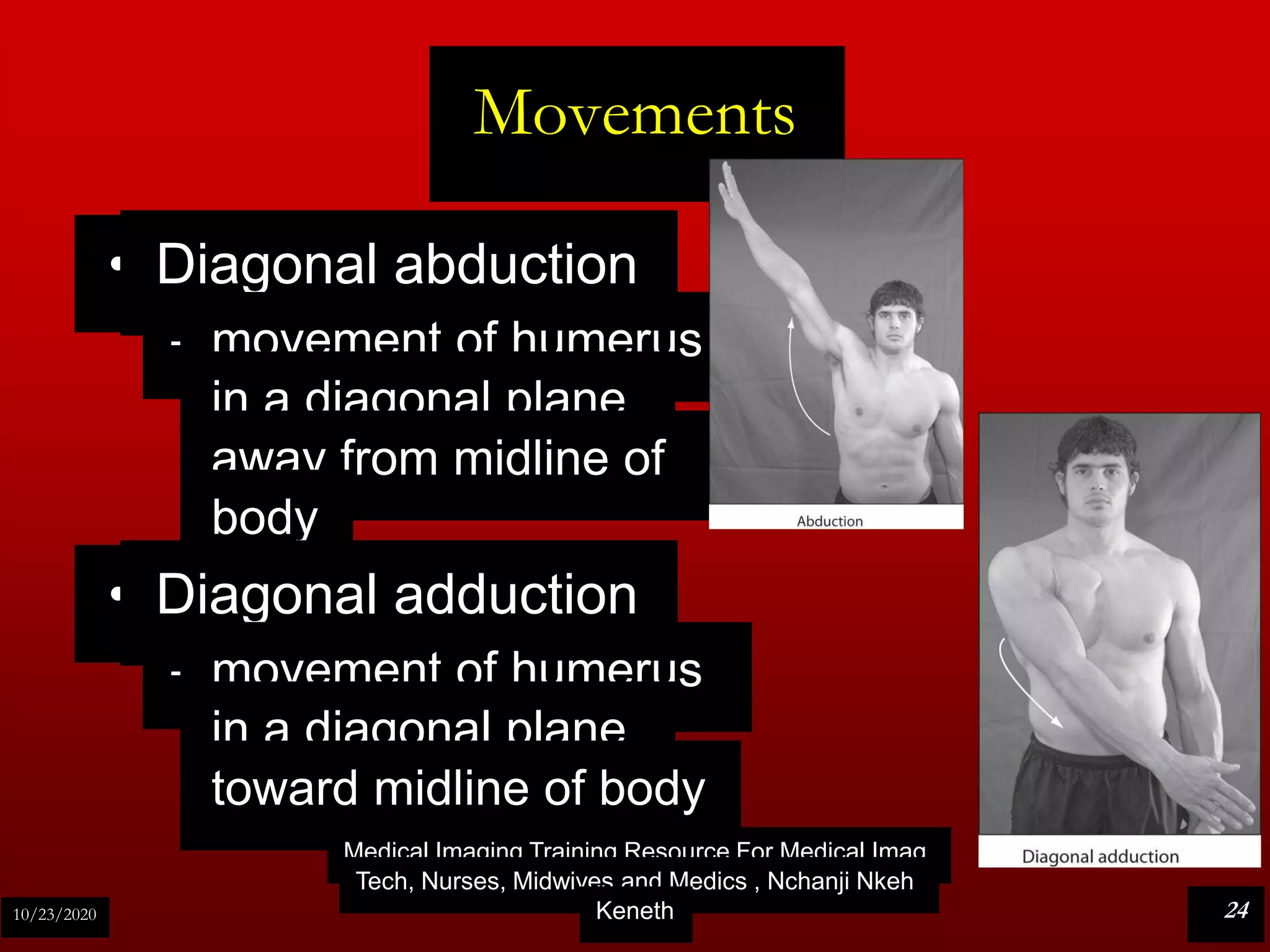 Shoulder anatomy . radiology training resource nchanaji nkeh keneth | PDF