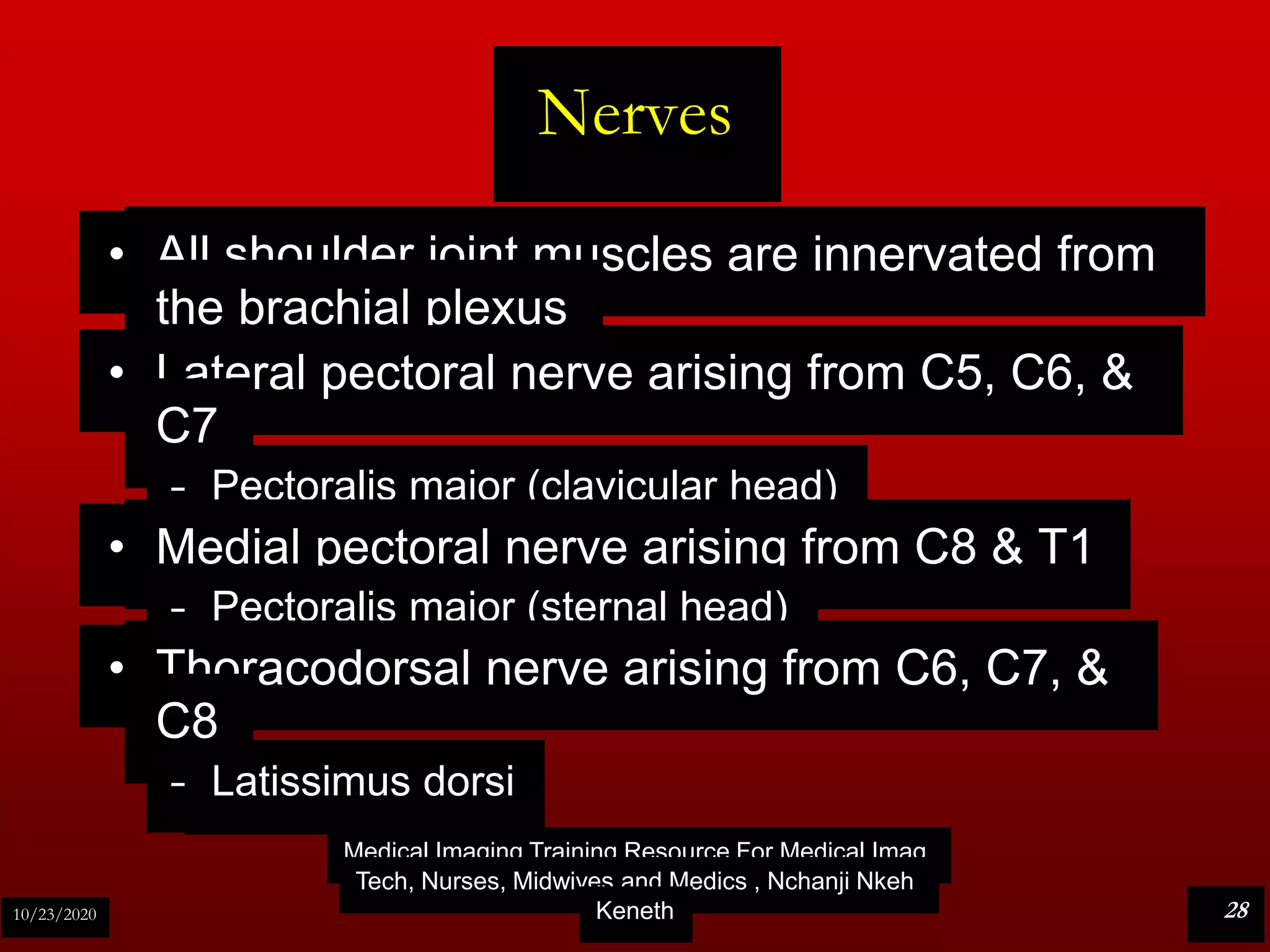Shoulder anatomy . radiology training resource nchanaji nkeh keneth | PDF