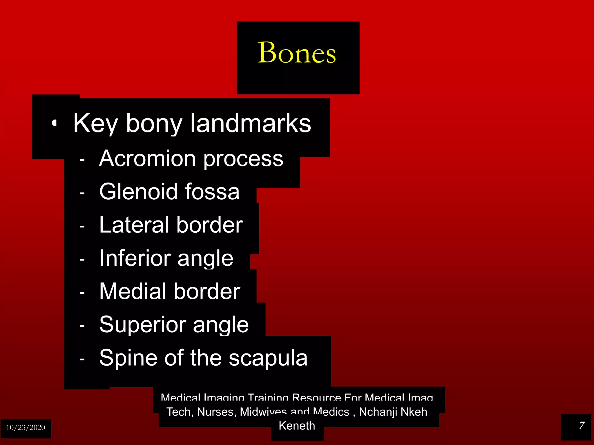 Shoulder anatomy . radiology training resource nchanaji nkeh keneth | PDF