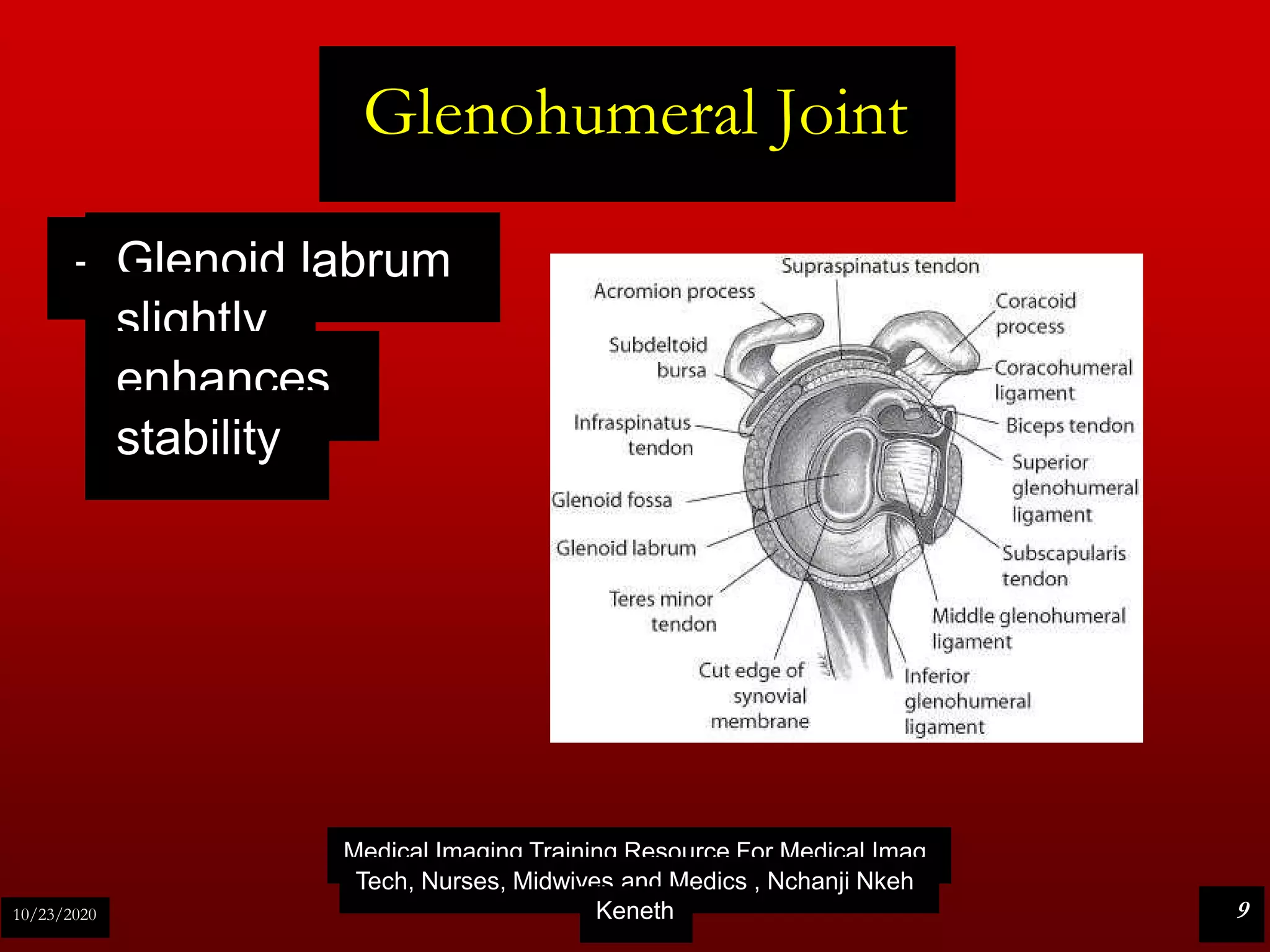 Shoulder anatomy . radiology training resource nchanaji nkeh keneth | PDF