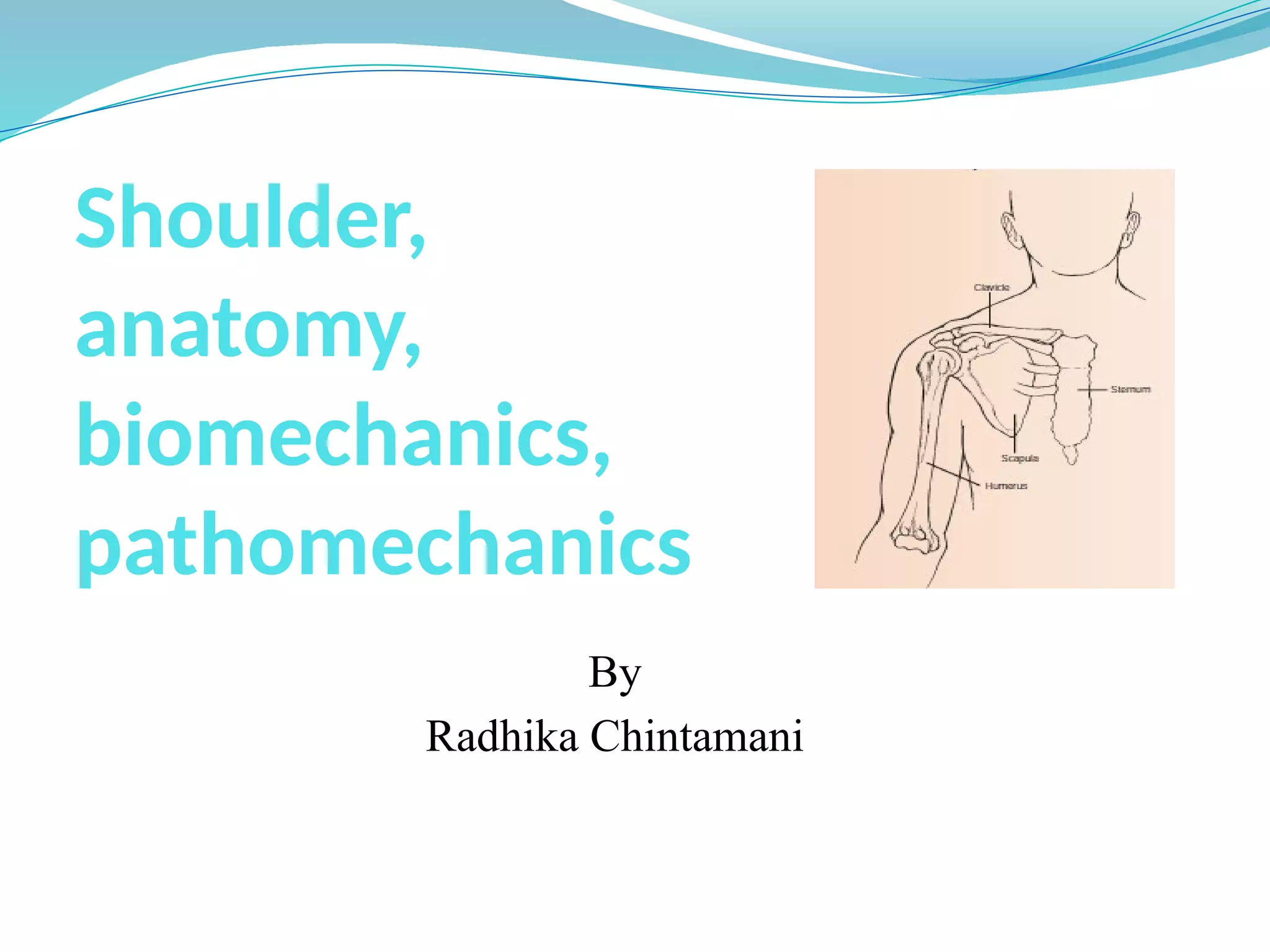 Shoulder anatomy__biomechanics__pathomechanics | PDF