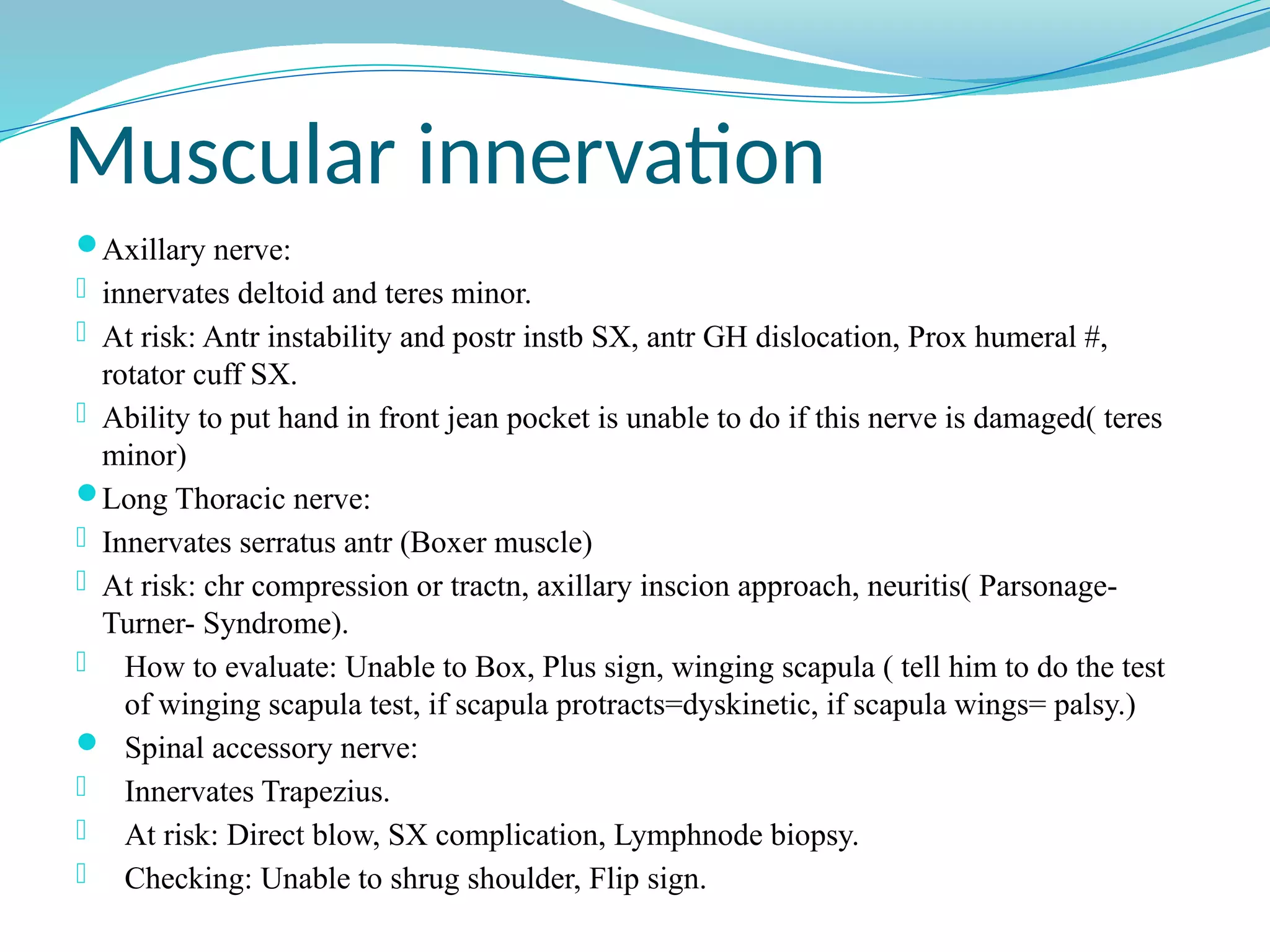 Shoulder anatomy__biomechanics__pathomechanics | PDF