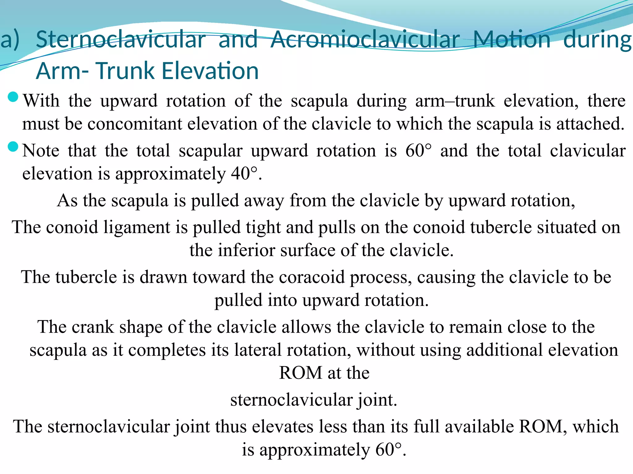 Shoulder anatomy__biomechanics__pathomechanics | PDF